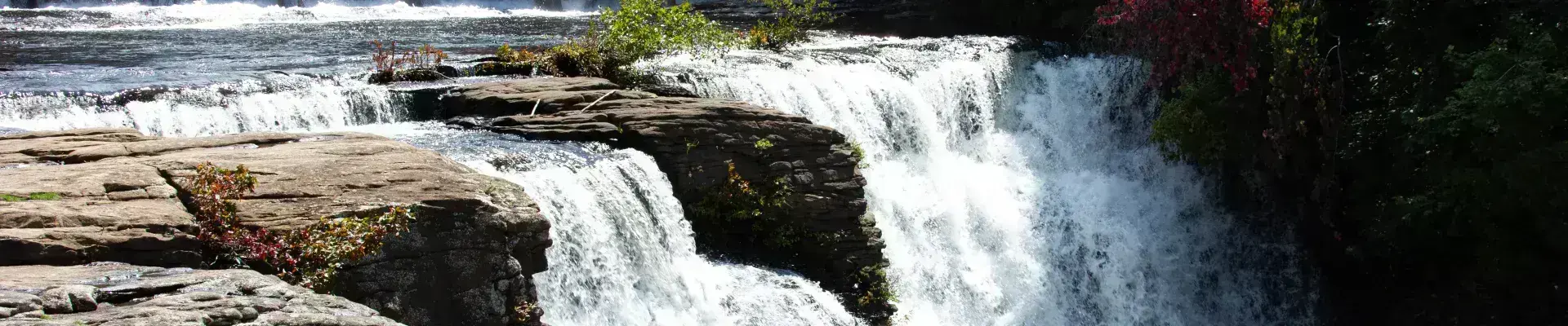 Alabama Environmental Permitting and Compliance System (AEPACS ...